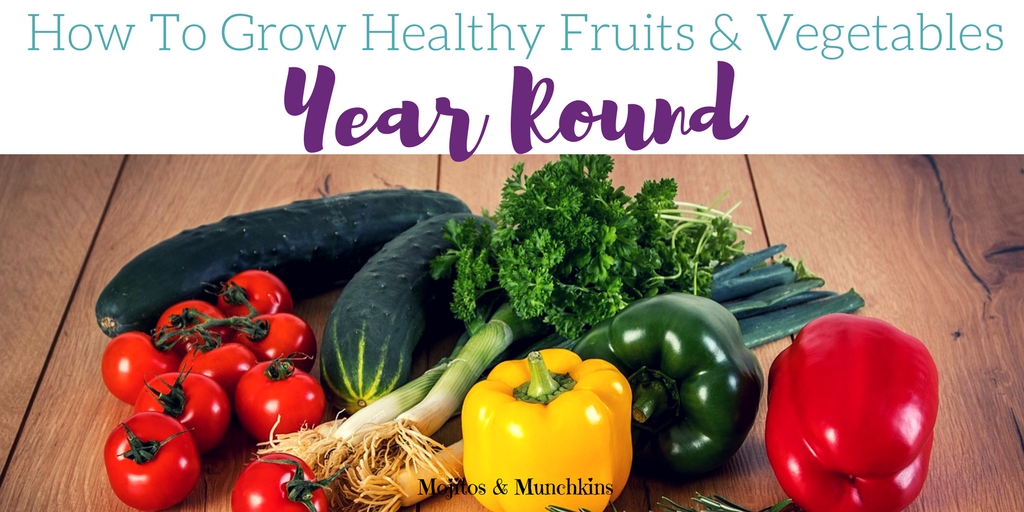 How to Grow Healthy Fruits and Vegetables Year Round | Travels Over Toys